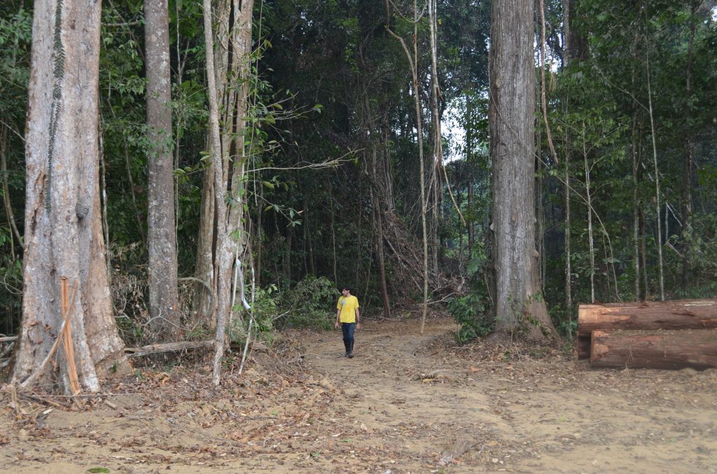 DSC_0508 – Tapajos