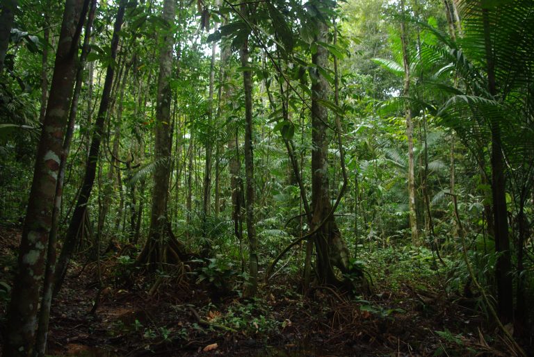 Protected Areas – Tapajos