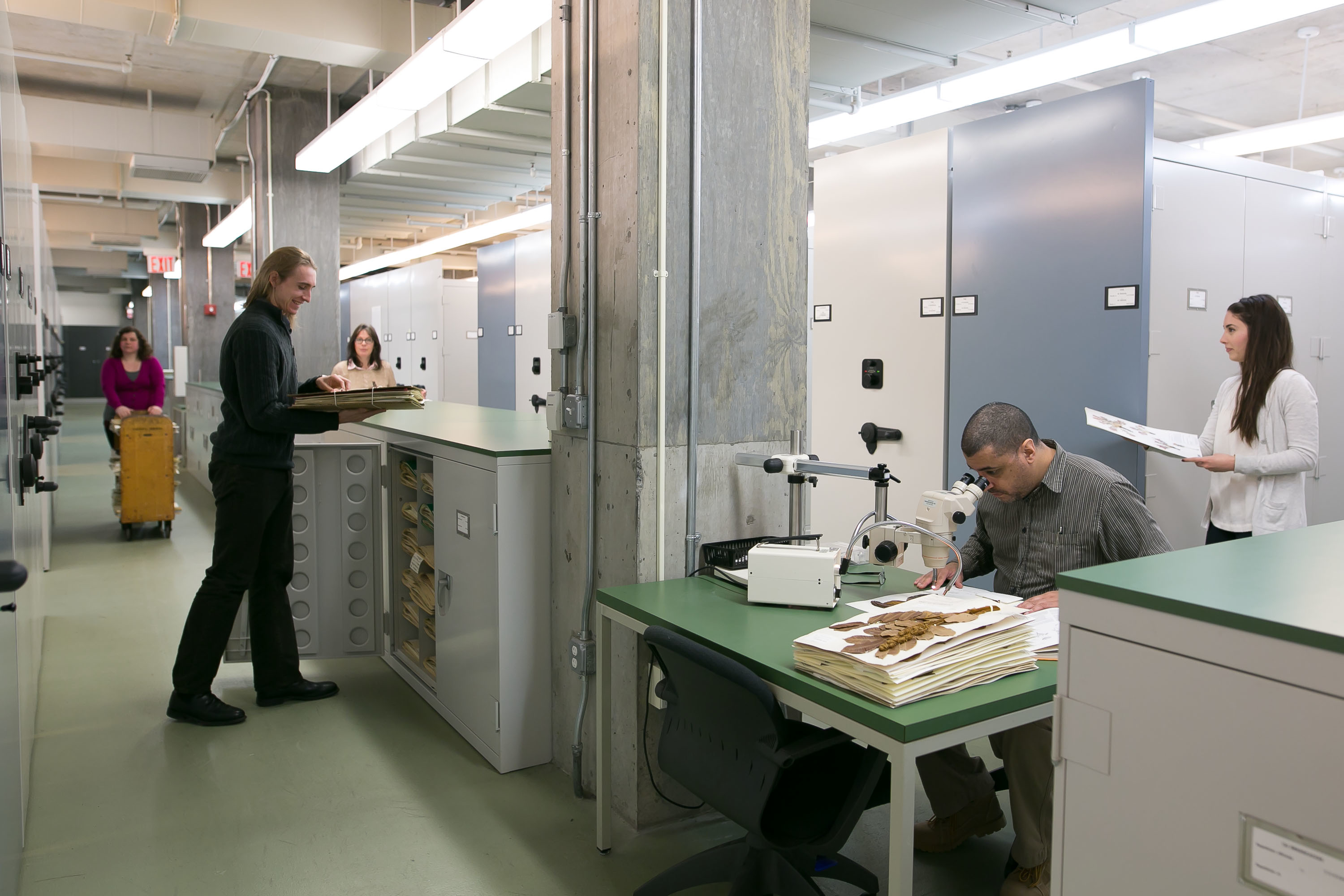 Herbarium Staff - The William & Lynda Steere Herbarium